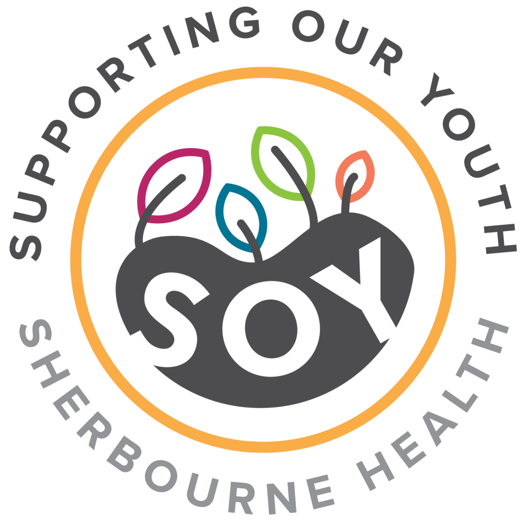 Supporting Our Youth (SOY) – ODLAN Resource Portal